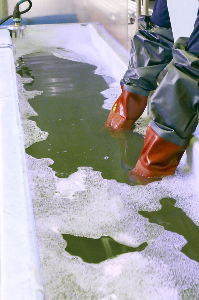 Premium Titanium Anodes Supplier | Customizable MMO Anodes